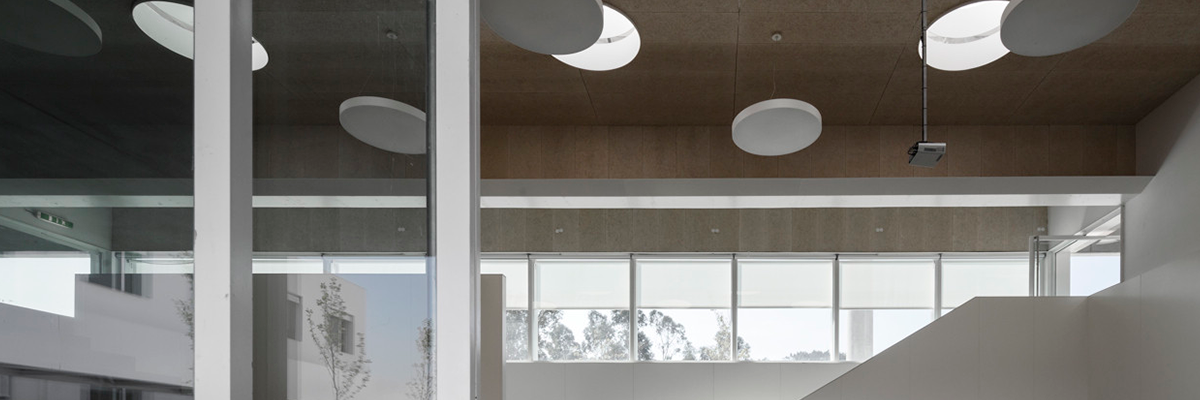 AESV - Agrupamento de Escolas de Sever do Vouga